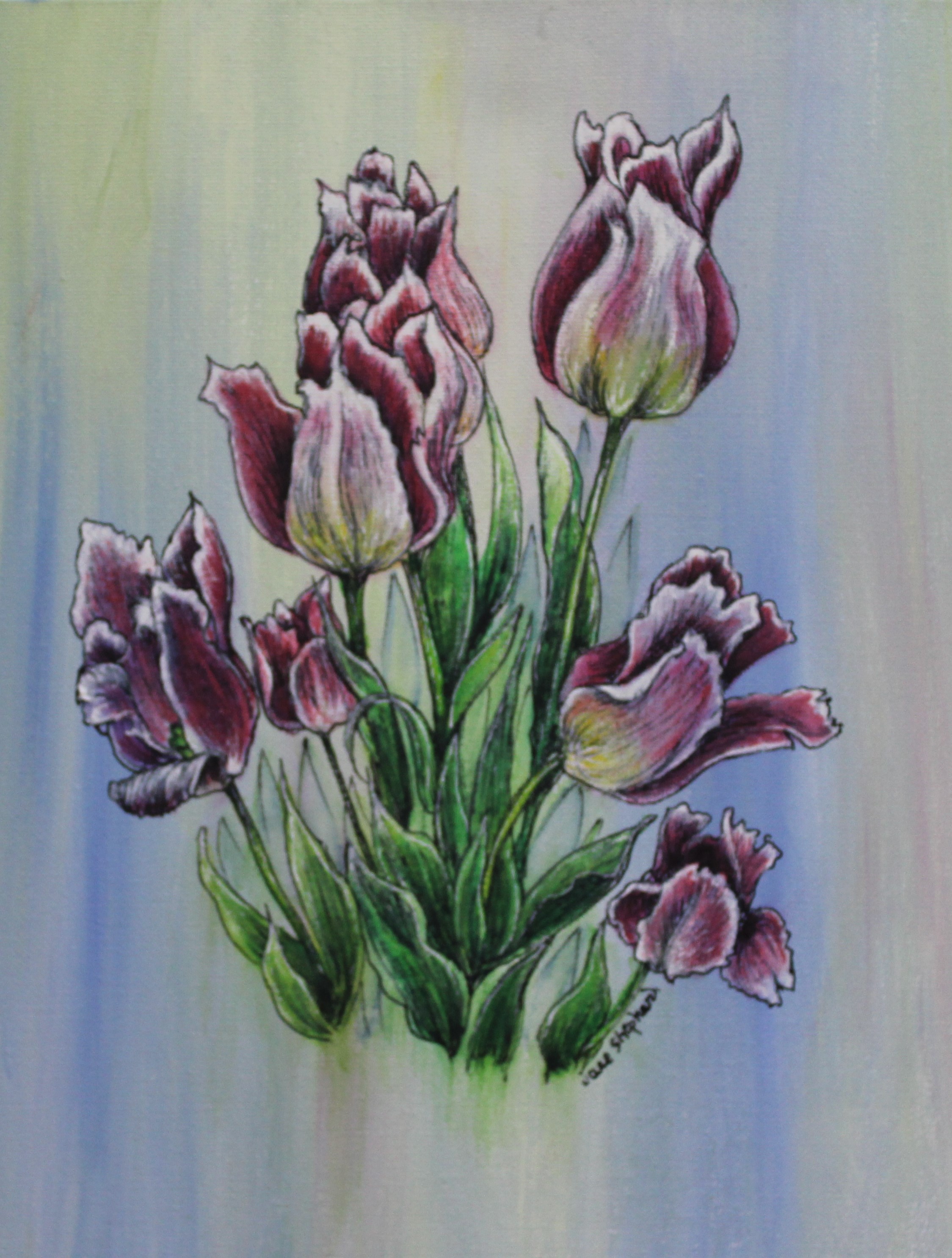 Portfolio – Jane Shepherd