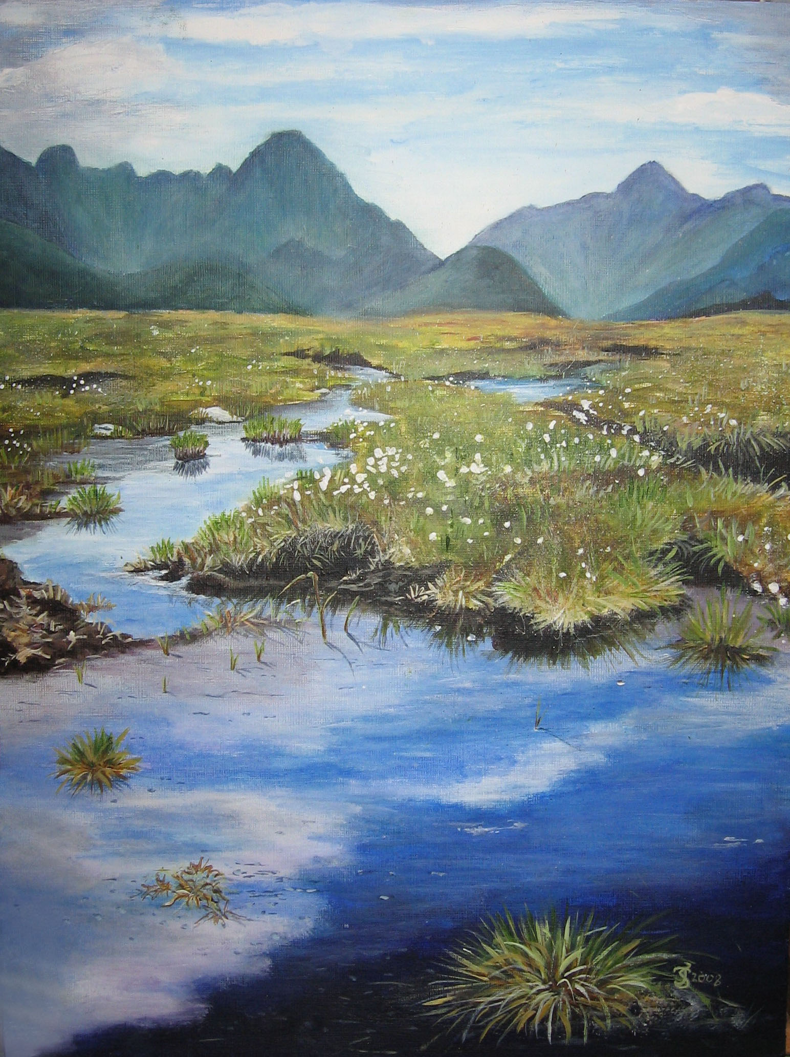 Portfolio – Jane Shepherd