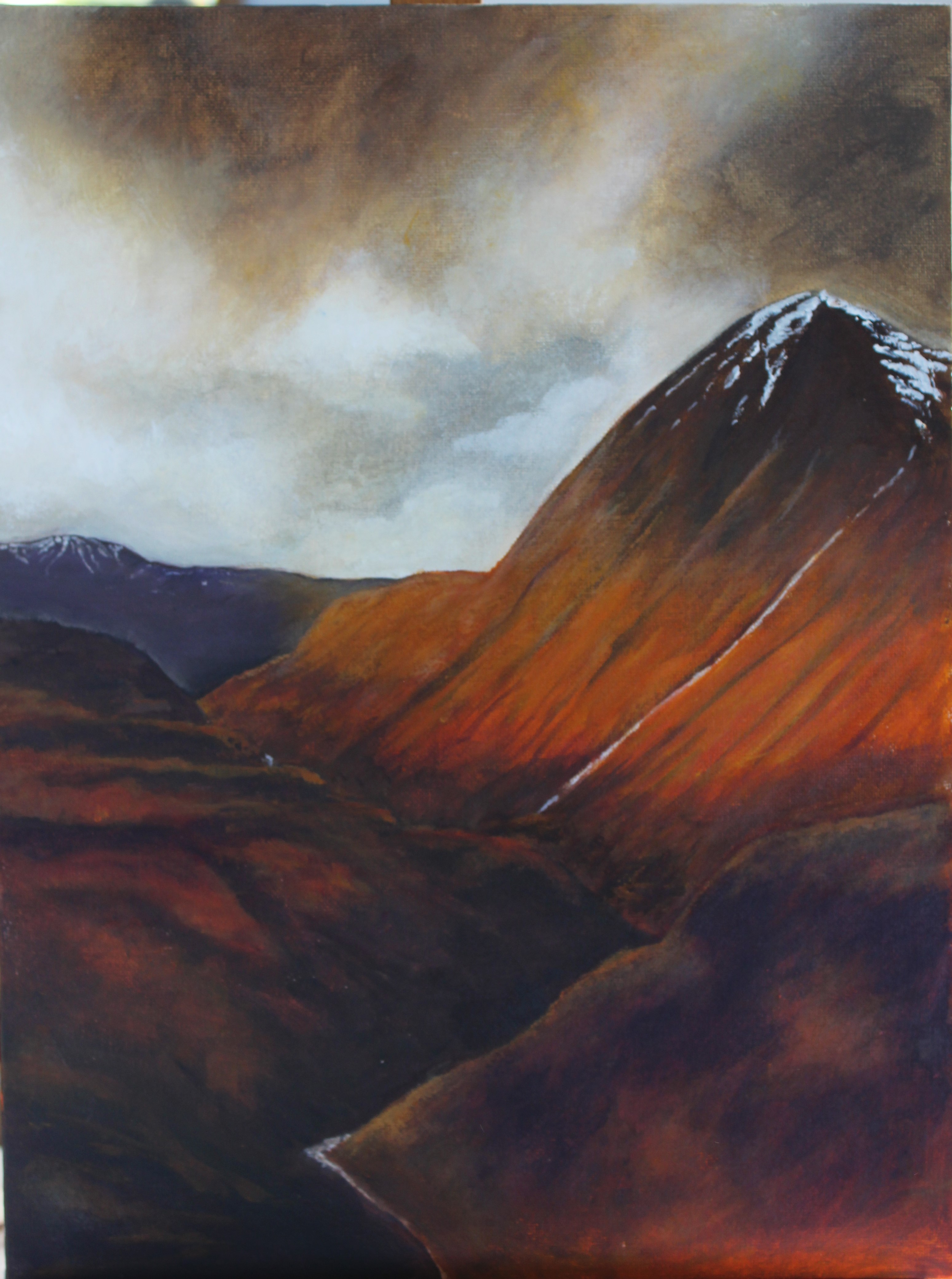 Portfolio – Jane Shepherd